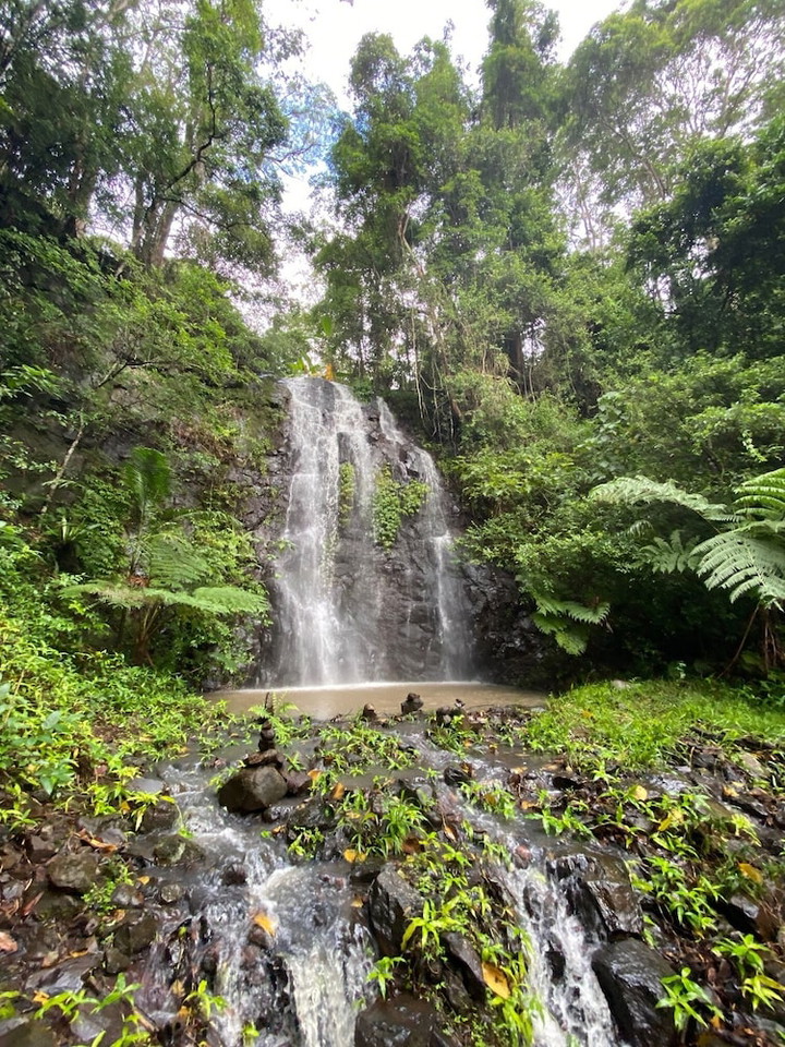 Nimbin Waterfall Retreat - Nimbin