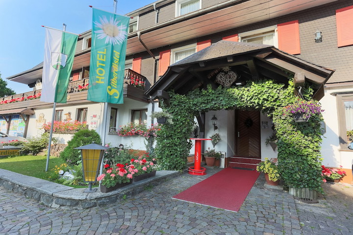 Hotel Garni Silberdistel - Titisee-Neustadt