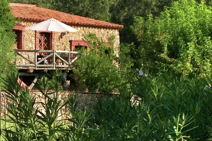 Zoya - Portugal