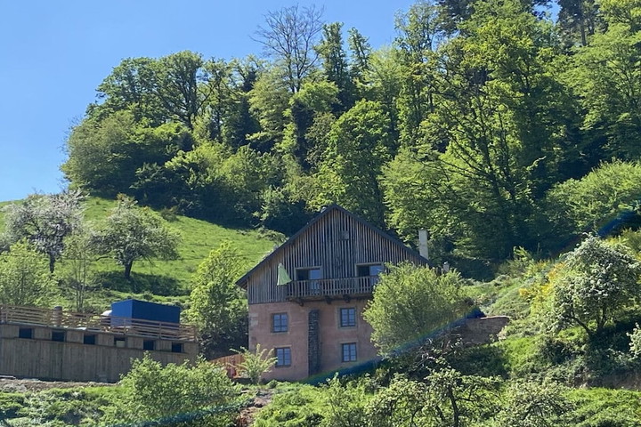576220 - Black Forest