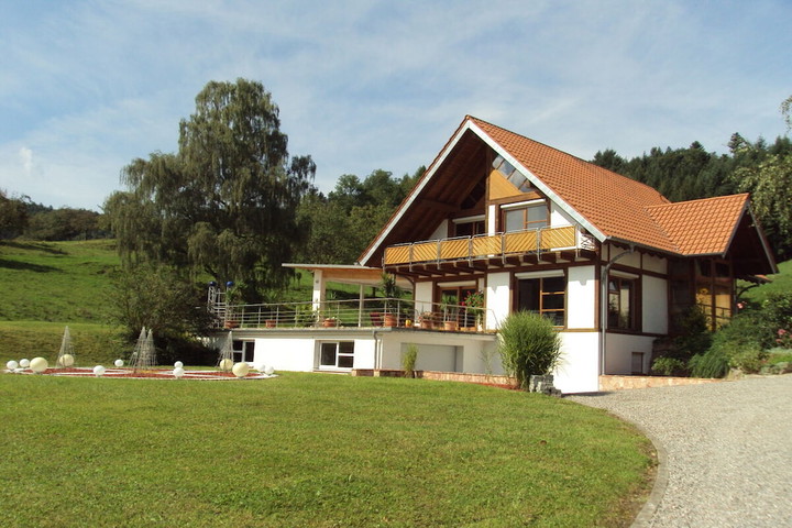 55317 - Black Forest
