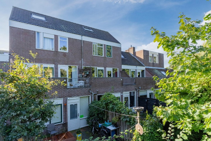 Zon Amour - Alkmaar