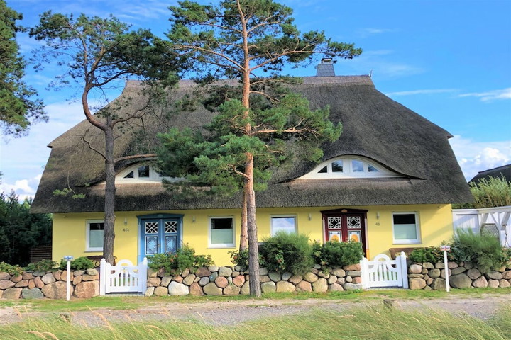 205421 - Dierhagen