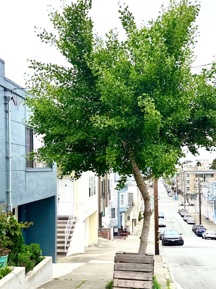 New 2br/2ba Free Garage Parking + W/d Near Ucsf - Sausalito