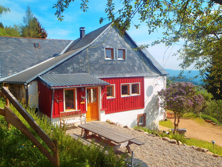Gîte La Petite Finlande - Orbey