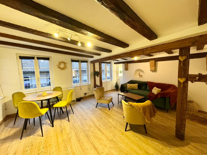 Charming Apartment In The Heart Of The Historic Center. - Strasbourg