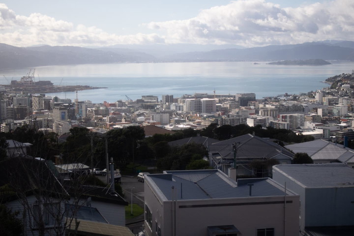 Up With The Birds In Brooklyn, Wellington - Wellington