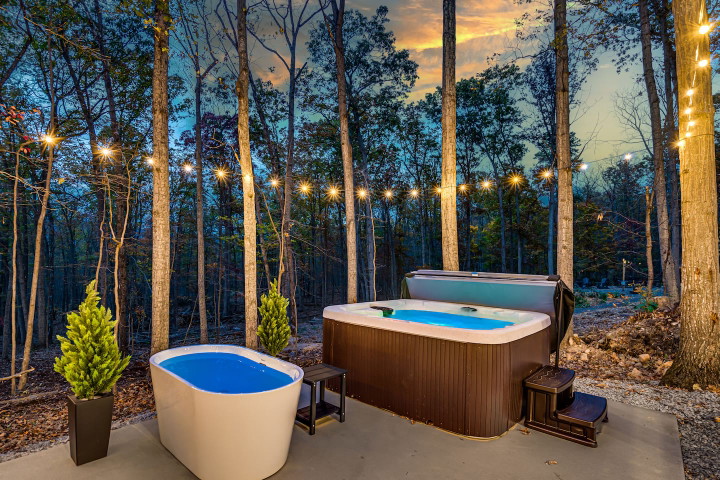 Fall Foliage Cabin | Hot Tub, Cold Plunge, Arcade - Stanley, VA