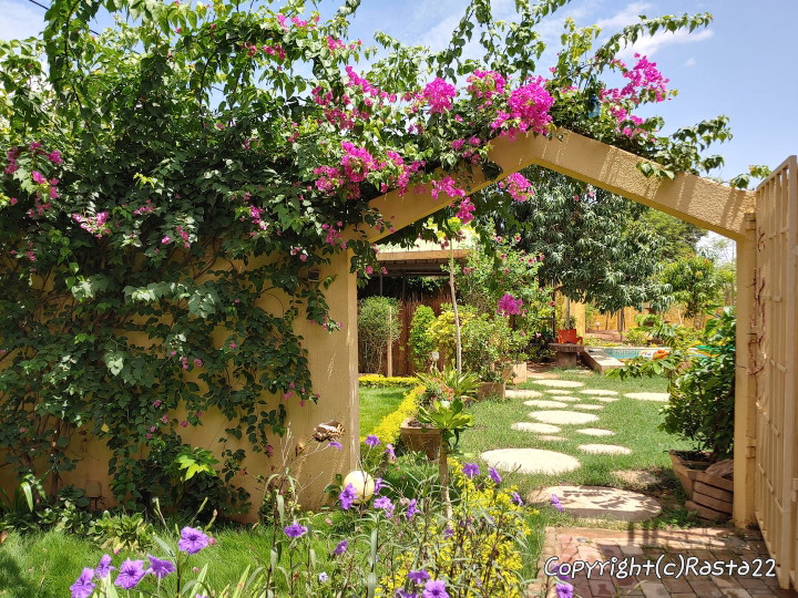 Résidence Des Hibiscus-roses: Jardin, Piscine... - Burkina Faso