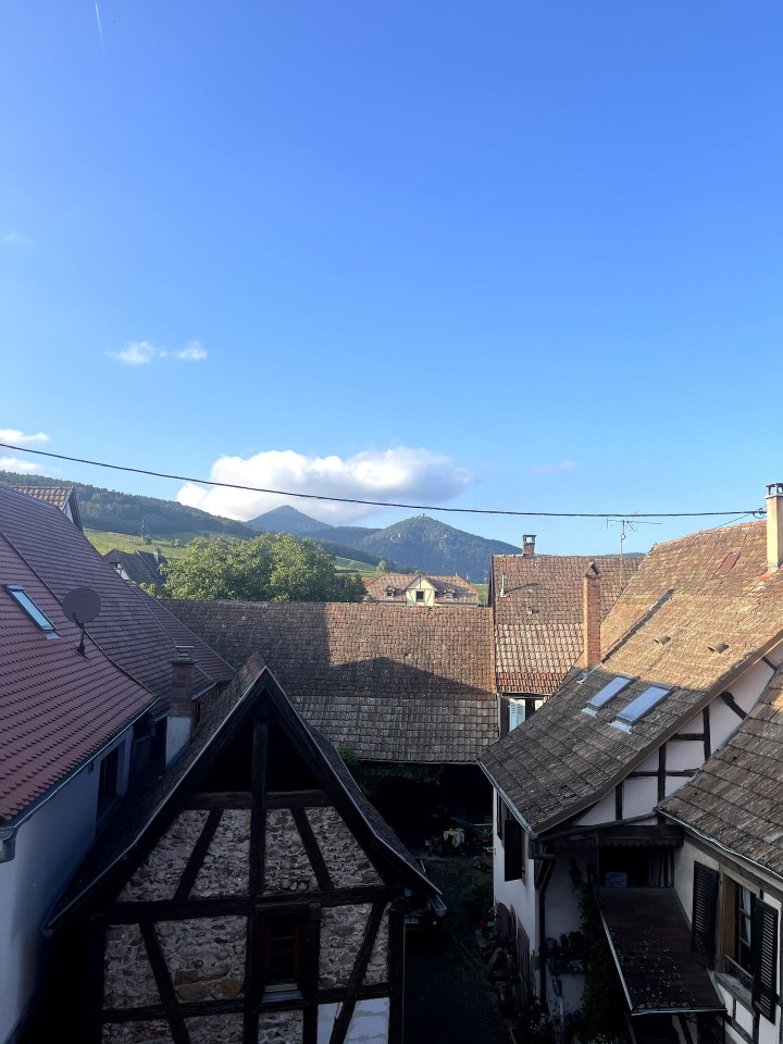 Maison - Le Petit Nid - +5 Pers - Ribeauvillé