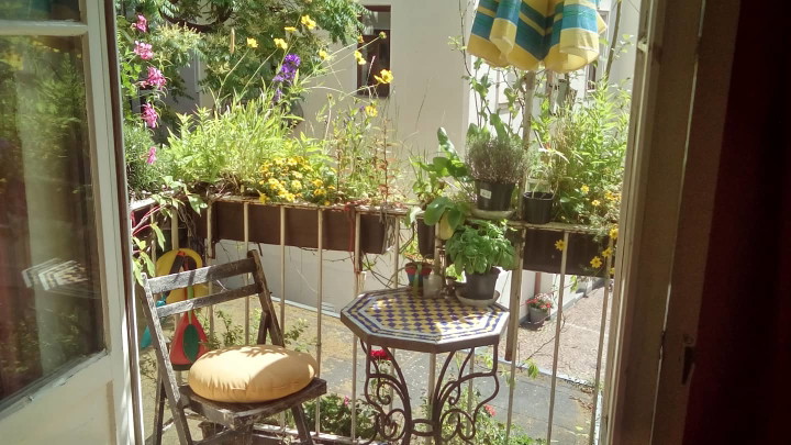 3 Rooms Centrally Quiet With Balcony And Cat - Munich