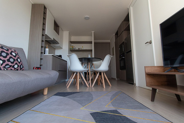 1 Bedroom, 1 Bathroom With Terrace | Metro Steps Away & High-speed Wi-fi 12 - Santiago