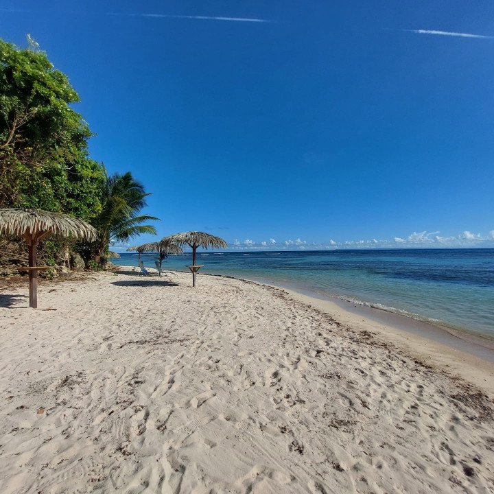 Appartement à Anse Des Rochers Avec Piscine/plage - Guadeloupe