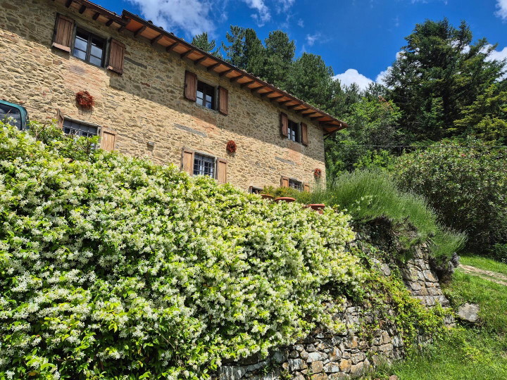 Into The Woods - Tuscany Retreat - Toscana