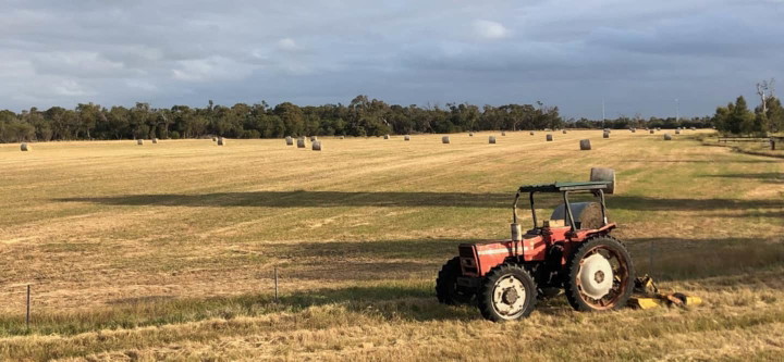 Country Retreat - Pinjarra