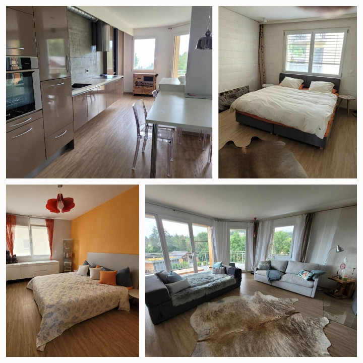 Mountain & Lake View Deluxe - Nyon