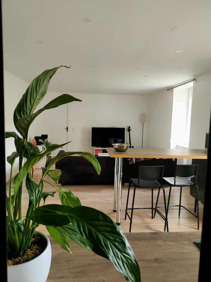 Magnifique Appartement à Morteau - Morteau