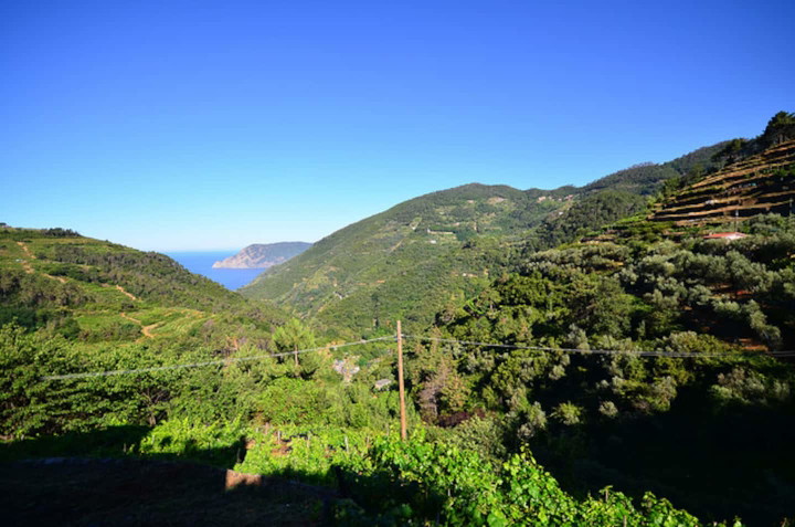 Sea View Studio Citra Code 011030-lt-0044 - Cinque-terre