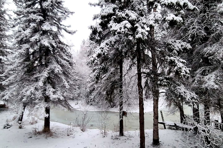 Central Anc Creekside Retreat: Direct Trail Access - Anchorage, AK