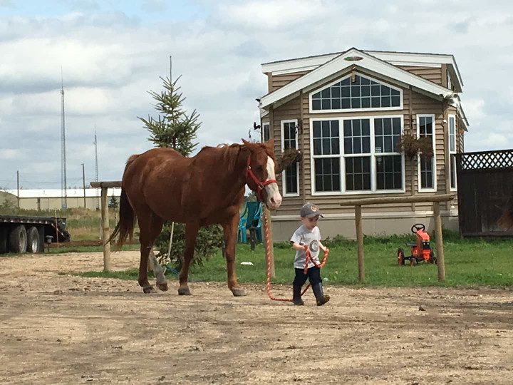 Horse Farm Getaway - Manitoba