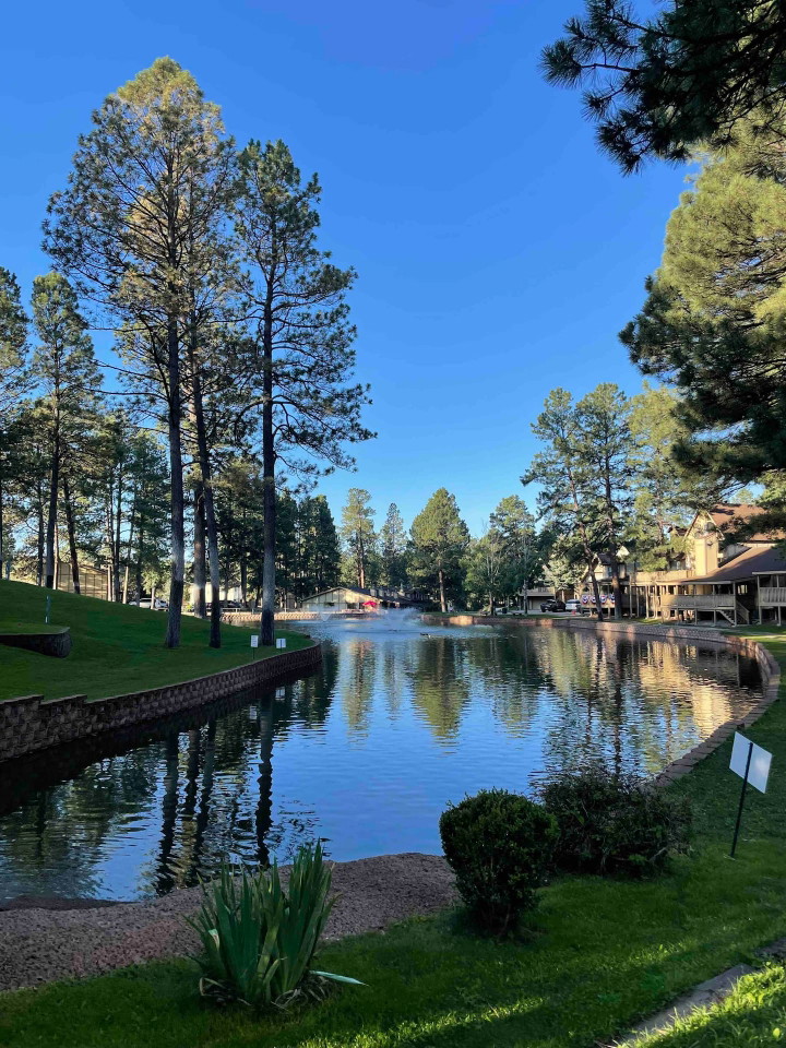 Innsbrook Village Country Club & Resort Condo 38c - Ruidoso, NM