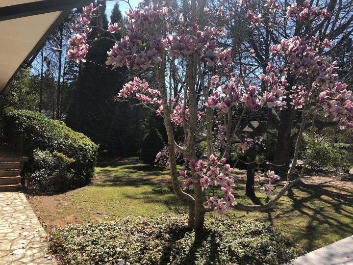 Zelma's Cottage - Leura Escape - Leura