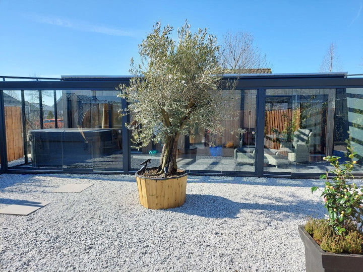 Our Wellness Cottage - Netherlands