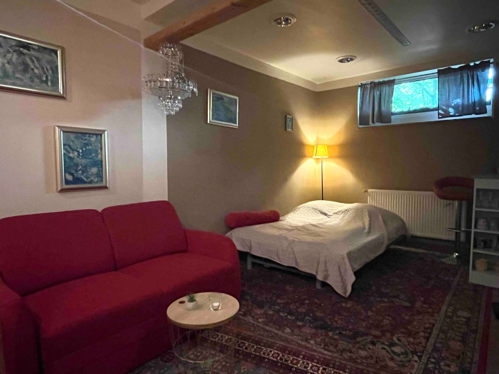 Walking Distance To The Lake & Canoe Included - Borna
