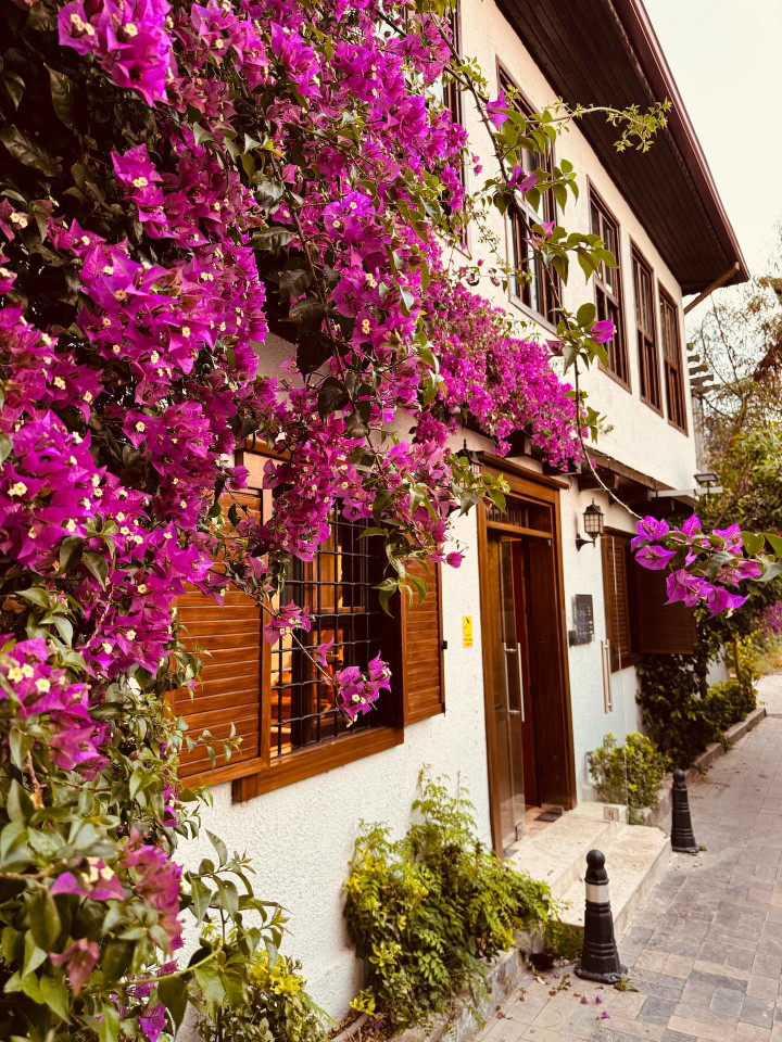Nills Suite Villa - Antalya