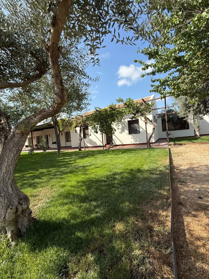 Authentic Farm House 30 Minutes From Madrid - El Molar