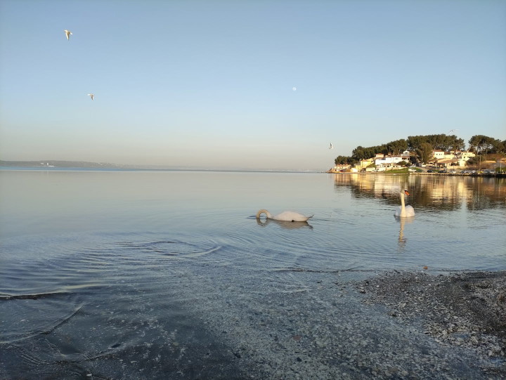 Maisonnette Idéale Famille à 1 Min De Leau - Port-de-Bouc