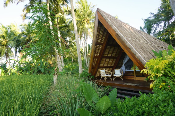 Rice Field Dome - Bali