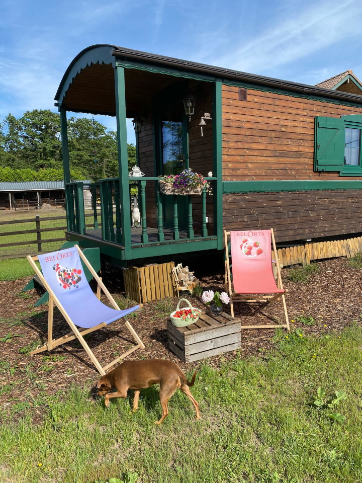 B&b Babbita Pipowagen Pia - Heusden-Zolder