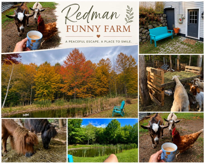 Redman Funny Farm Retreat - Greenfield, NH