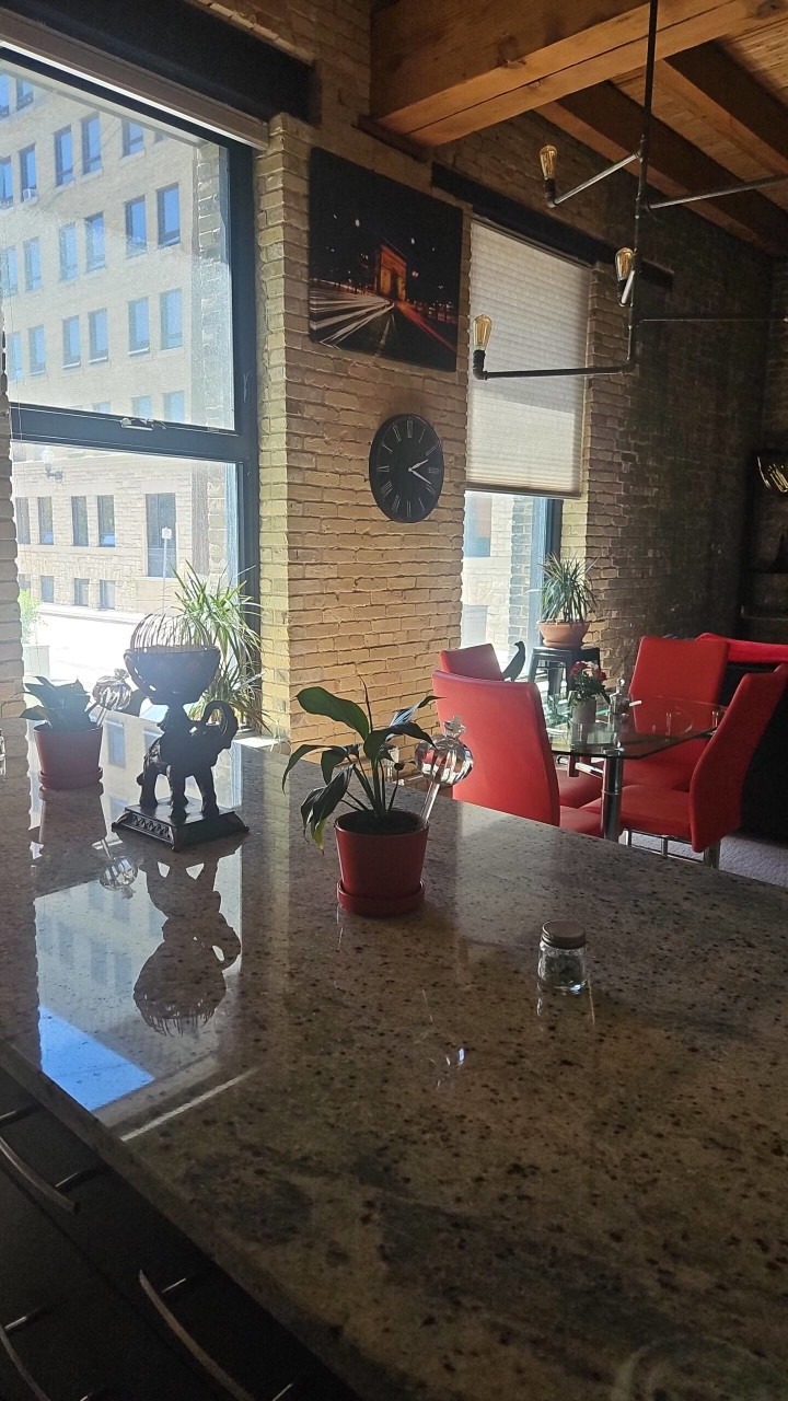 Winnipeg Exchange District - Spacious 1 Br Loft - Winnipeg