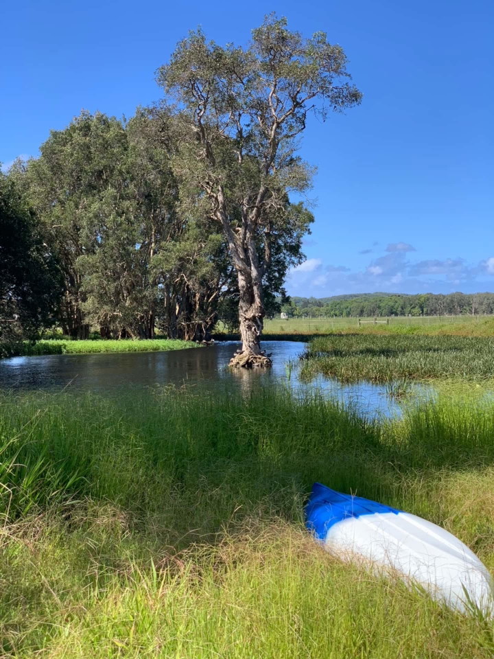 Duck Heaven In Bellingen Shire - Coffs Harbour
