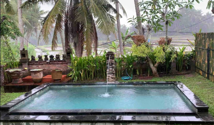 Shima House - Denpasar