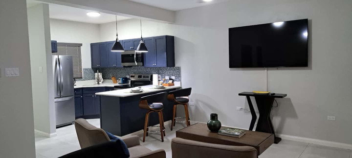 Manor Park Oasis Apartment @ Long Lane - Kingston