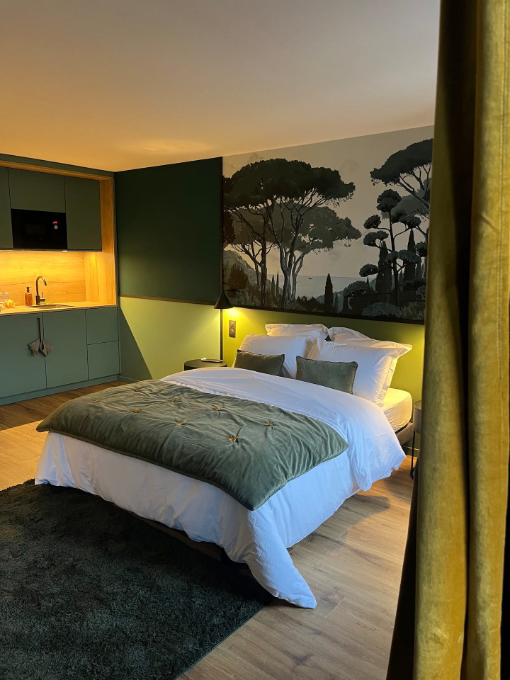 Studio Vert Meublé De Tourisme 2 Personnes - Altkirch