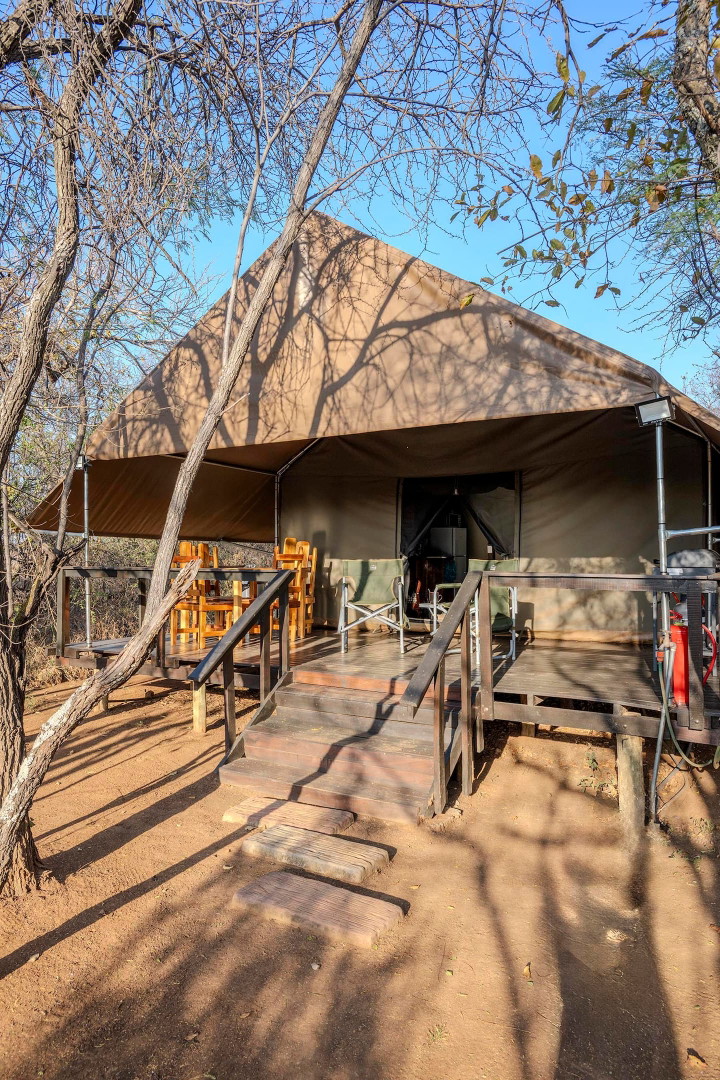 Luxury Glamping Tent Inside Dinokeng Game Reserve - Hammanskraal