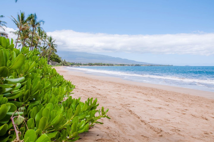 Beach Front Complex On The Sand - Gorgeous Condo! - Hawaï
