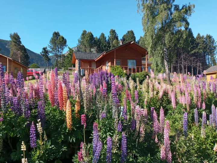 Cabaña Bandurria Tehuelche - Coyhaique