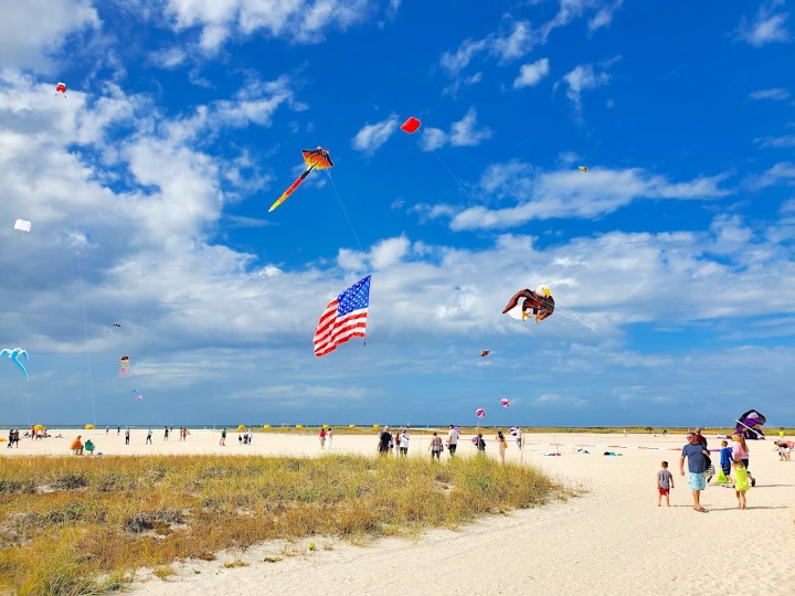 Large Family Retreat-steps To Sea - Treasure Island, FL