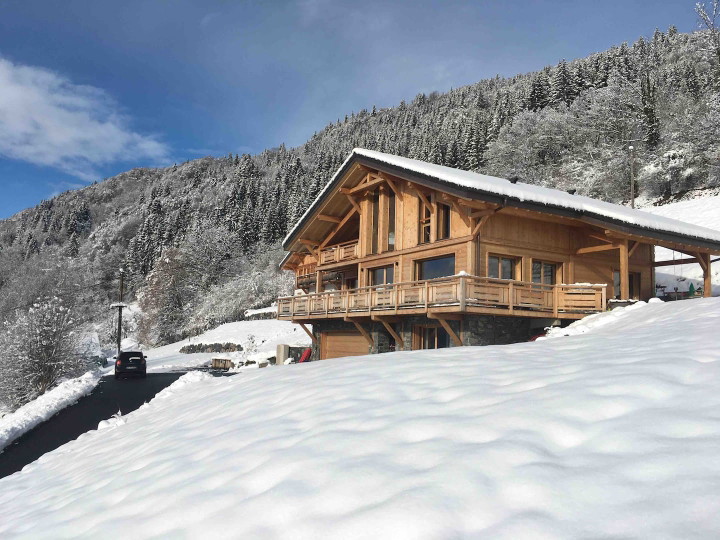 Appartement Avec Jardin Et Terrasse/vue Magnifique - Haute-Savoie