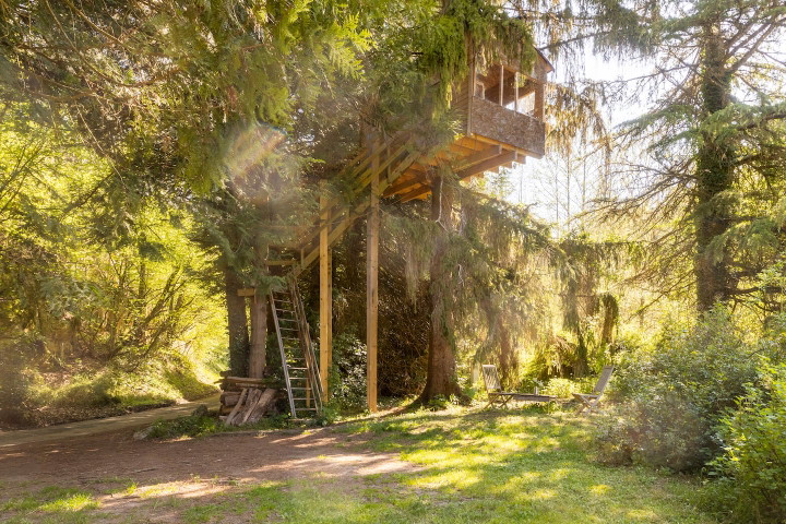 Cabane Dans Les Arbres - France