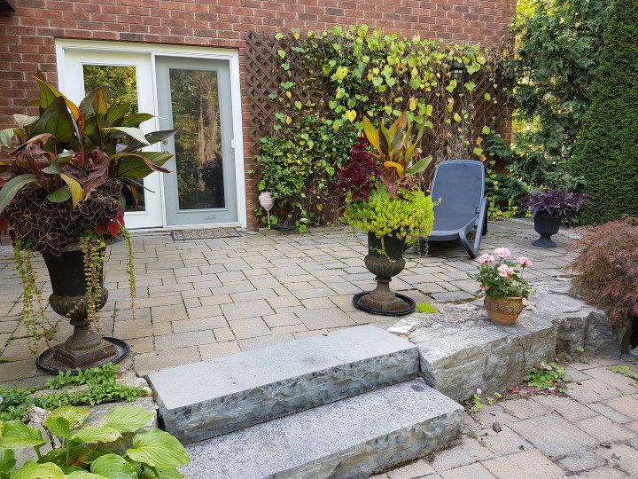 Relaxing Forest-view Studio With Private Entry - Kitchener