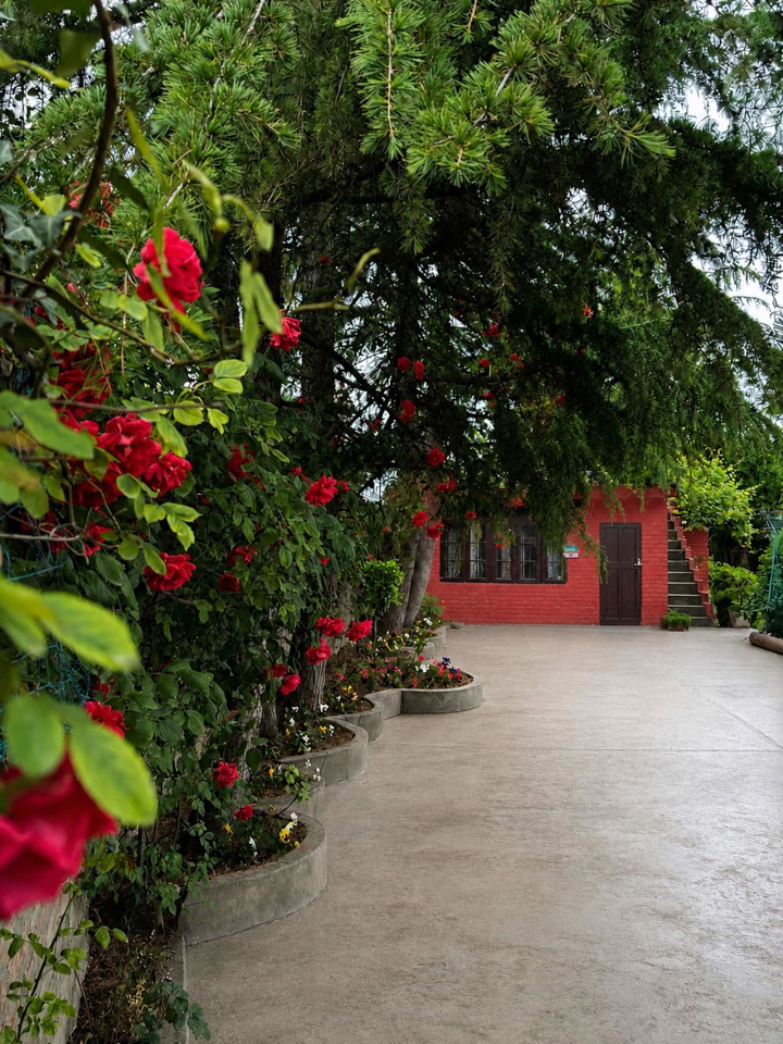 Whispering Pines 1&2
Forest Vibes Near City Centre - Srinagar