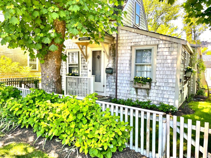 The Shoebox -  A Quick Walk To Main St & Downtown - Nantucket, MA