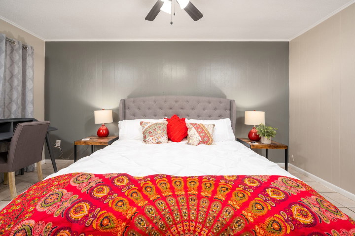By Hospitals  | Petsok  | 55" 4ktv | King - Alexandria, LA