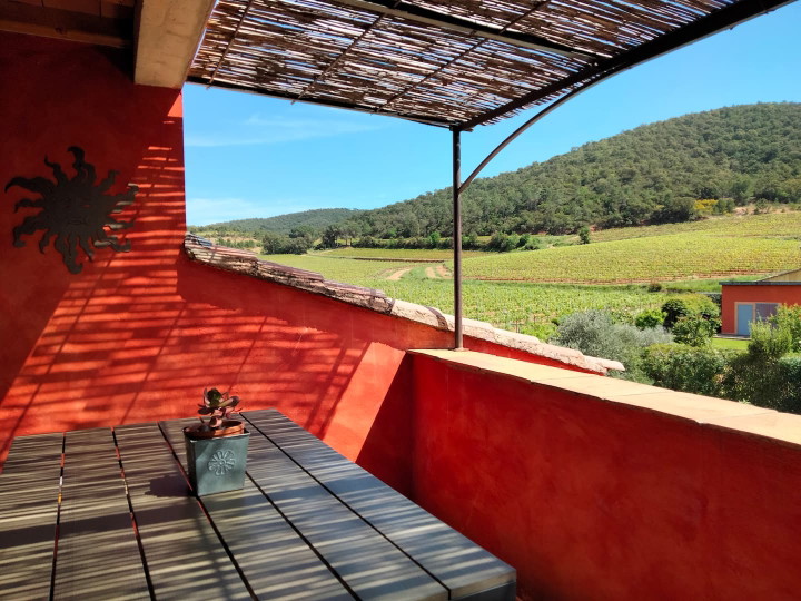 Loft Between Vineyards And Sea - Hyères